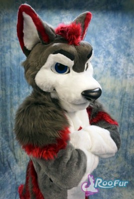 Roofur.com :: Shilo Wolf Gallery