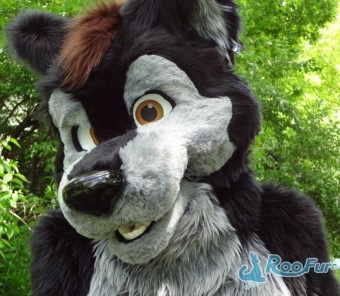 Roofur.com :: Otto Wolf Gallery