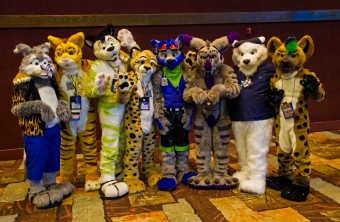 Roofur.com :: BLFC 2017 Gallery