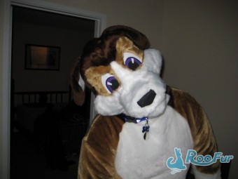 Roofur.com :: Calufa Gallery