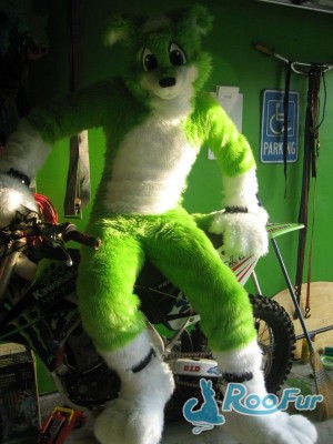 Roofur.com :: Harley Pup Gallery