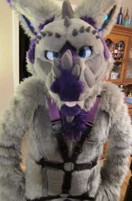 Roofur.com :: Roogan Gallery