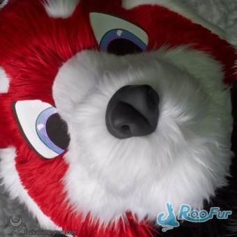 Roofur.com :: Jamie Neon Gallery